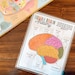Human Brain Anatomy Printable Activity, Brain Puzzle, Brain Parts ...