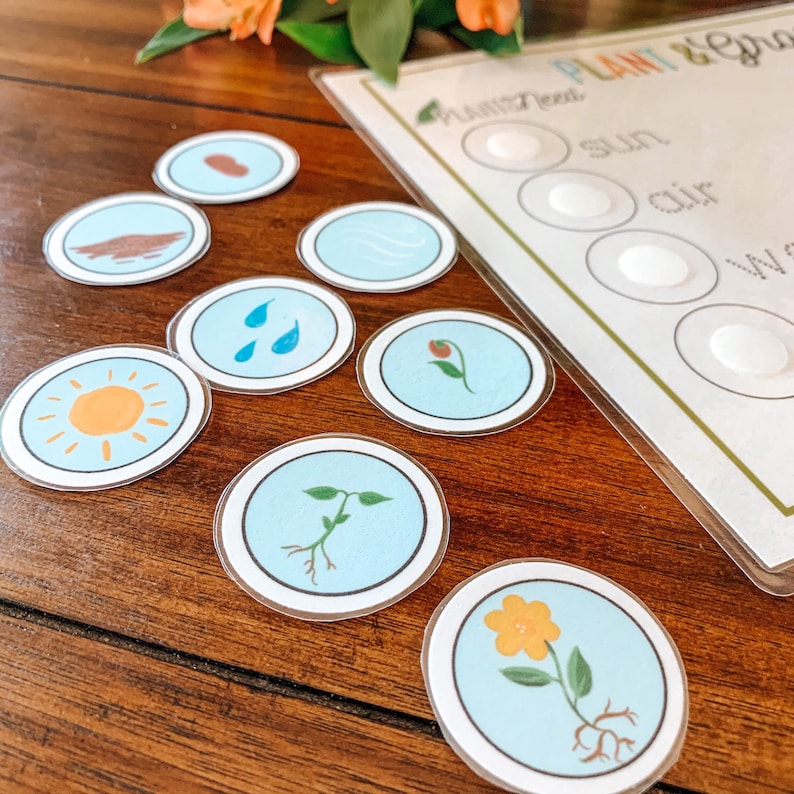 Plant Life Cycle Printable Activity, Kids Science Game, Nature Study ...