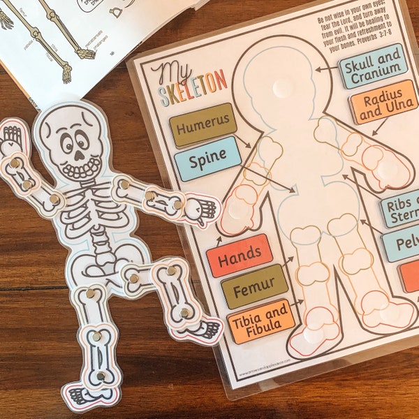Human Anatomy Printable - Etsy