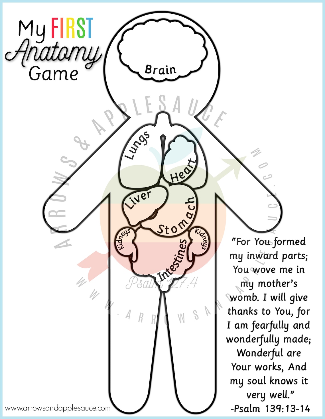 Anatomy Game Printable Human Body Preschool Activity About - Etsy