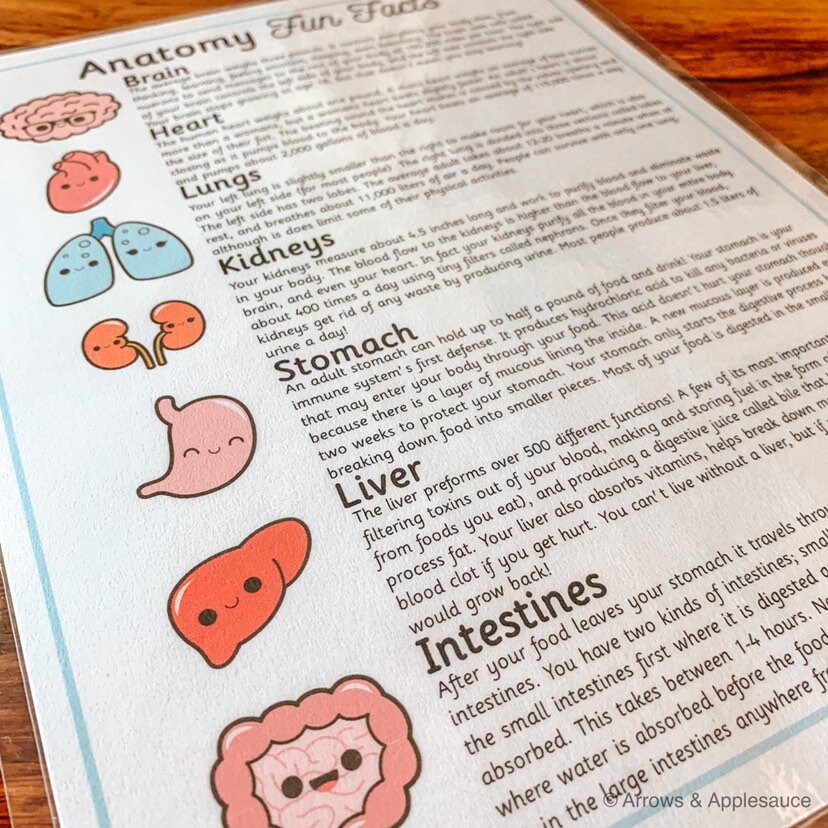 Anatomy Game, Printable Human Body Preschool Activity, About Me Kids ...
