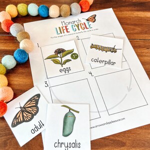Butterfly Activity Set, Kids Printable, Monarch Butterfly Life Cycle ...