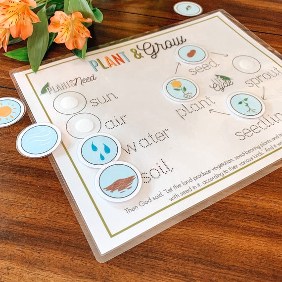 Plant Life Cycle Printable Activity Kids Science Game Nature | Etsy Canada