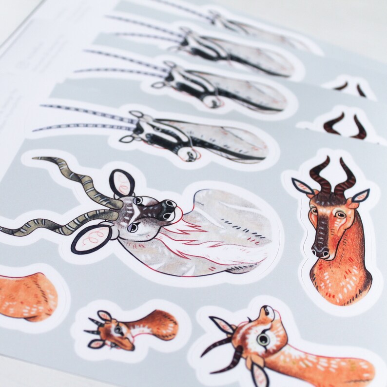 Antelope of Africa Sticker Sheet Water Bottle Laptop Planner Stickers ...