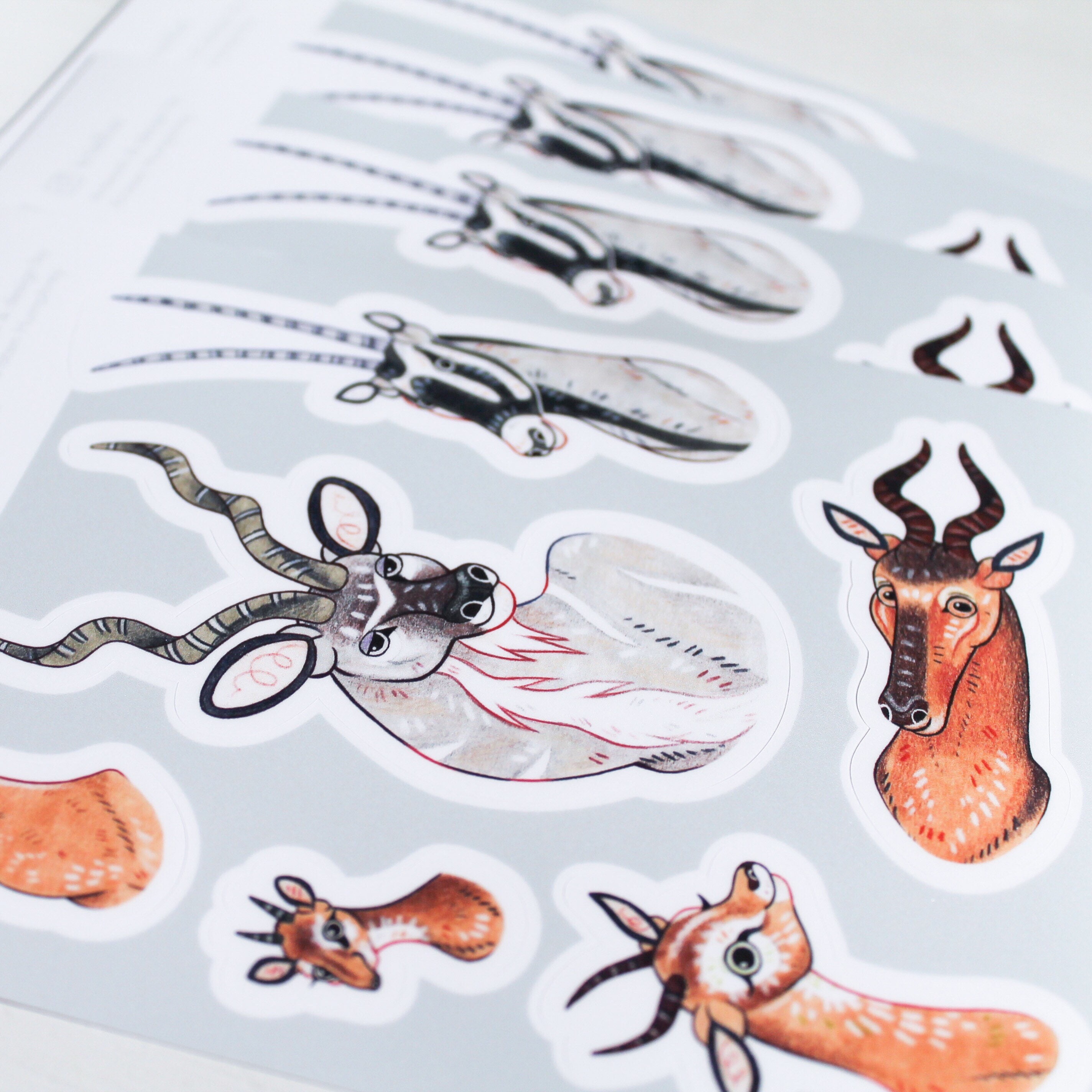 Antelope of Africa Sticker Sheet Water Bottle Laptop Planner Stickers ...