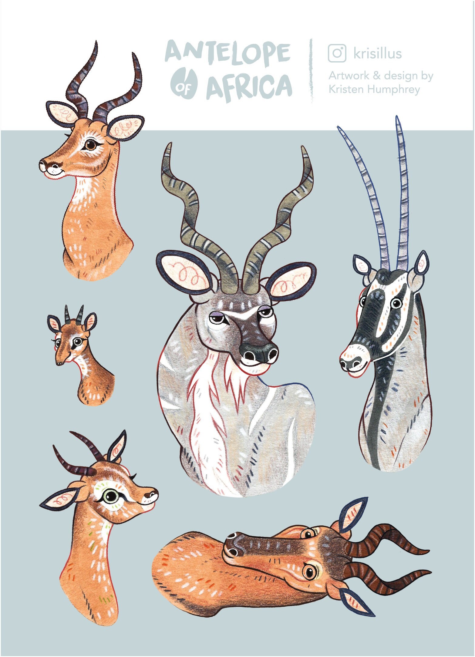 Antelope of Africa Sticker Sheet Water Bottle Laptop Planner Stickers ...