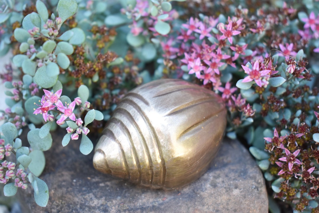 Vintage Solid Brass Seashell Paperweight, Gold Seashell Sculpture ...