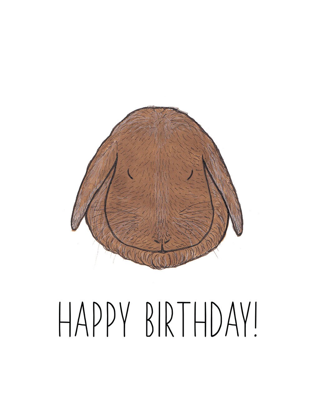 Funny Birthday Card, Rabbit Birthday Card, Animal Lovers Card, Rabbit ...