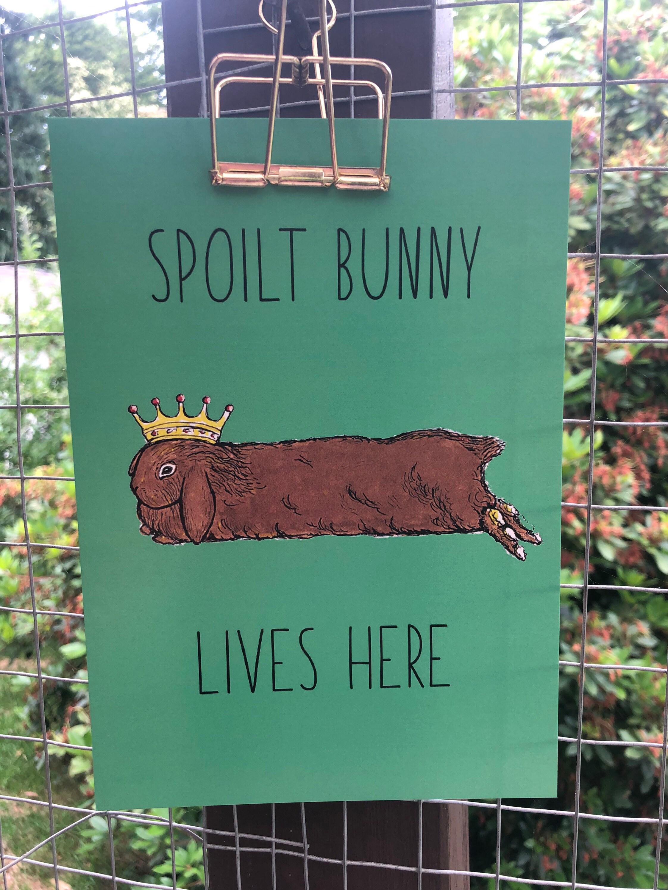 Spoilt Bunny Sign, Sign for Rabbit Lovers, Pet Sign, Gifts for Rabbit ...