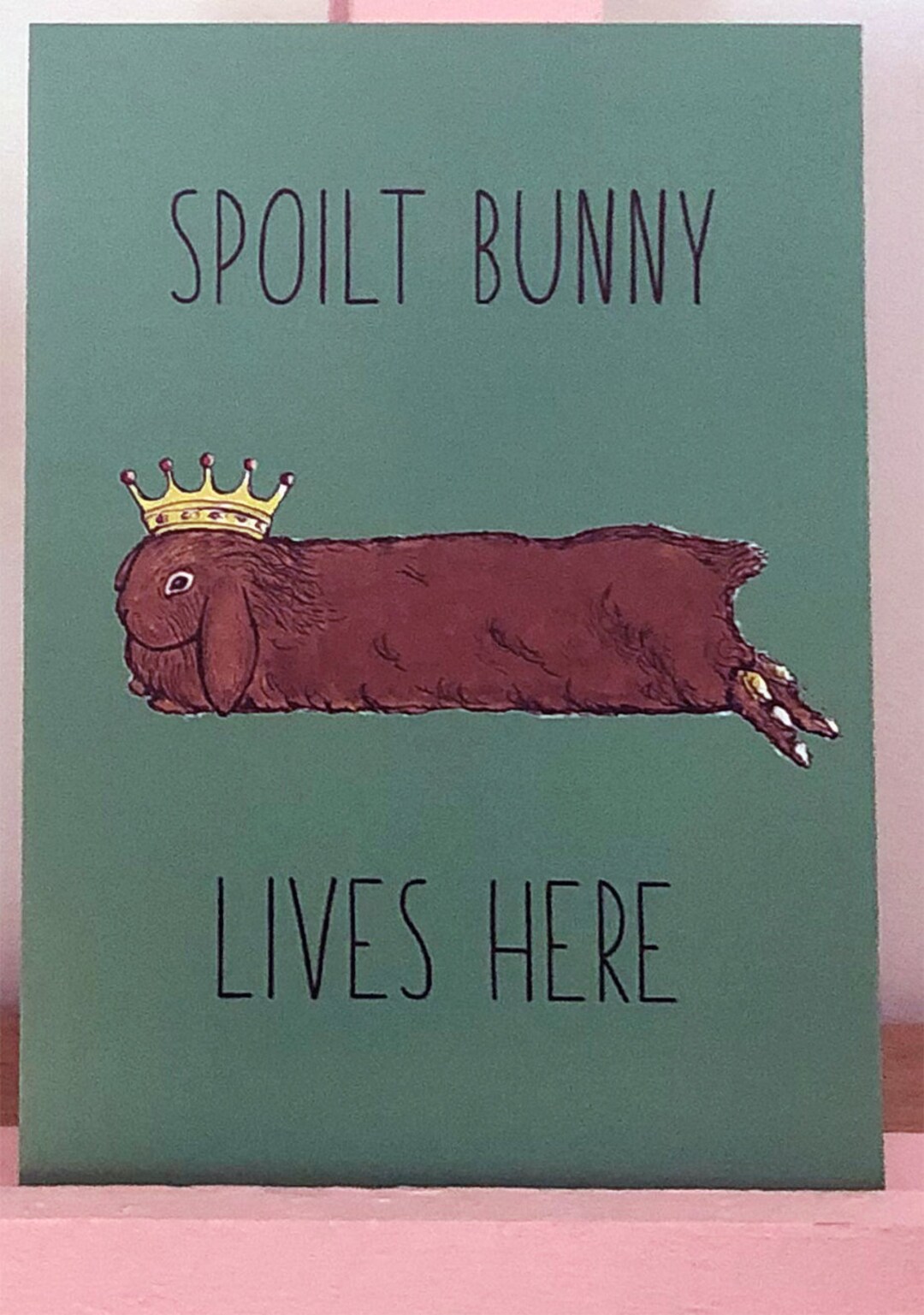 Spoilt Bunny Sign, Sign for Rabbit Lovers, Pet Sign, Gifts for Rabbit ...