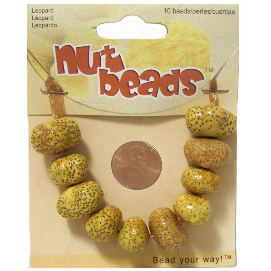 15 Mm Leopard Nut Beads X 10, Real Nuts, Natural Beads - Etsy
