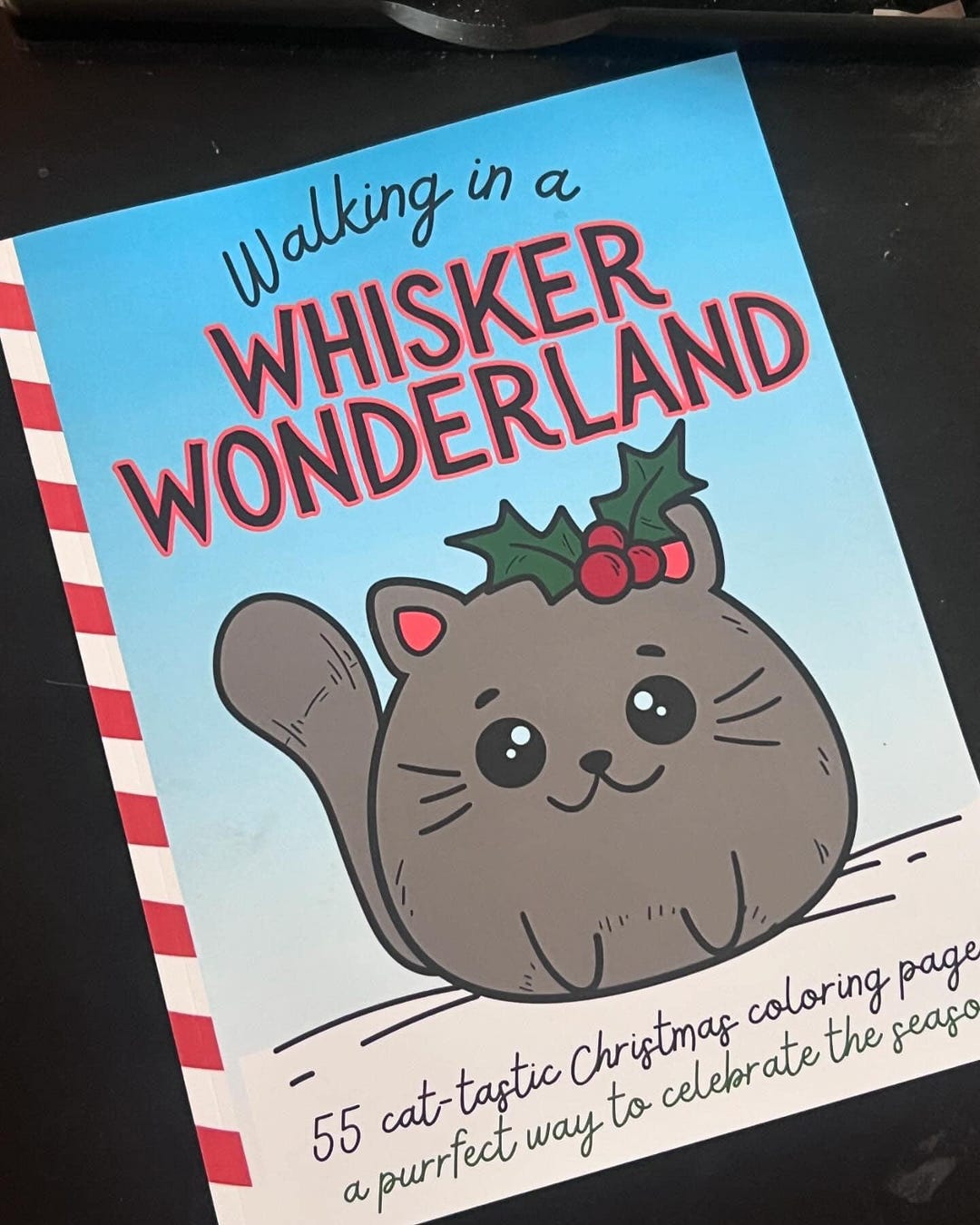 Walking in a Whisker Wonderland Coloring Book - Etsy