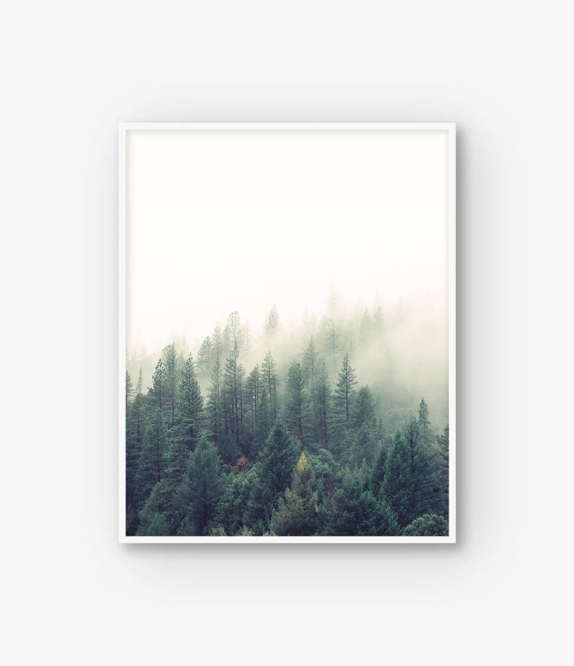 Forest Print Nature Print Forest Photography Nature - Etsy