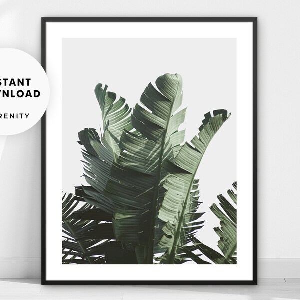 Banana Leaf Poster - Etsy