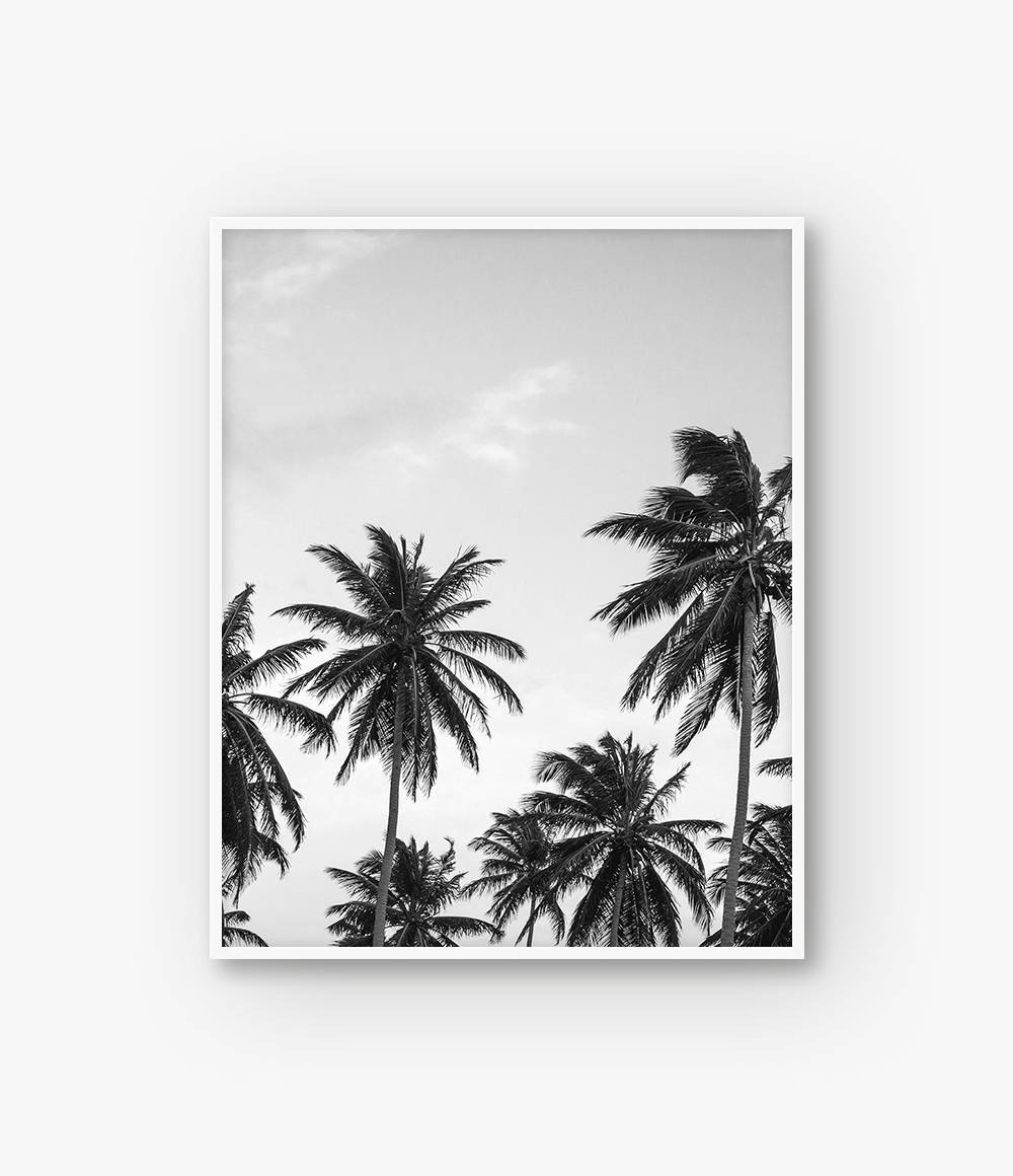 Palm Tree Print, Tropical Print, Botanical Print, Palm Tree Wall Art ...