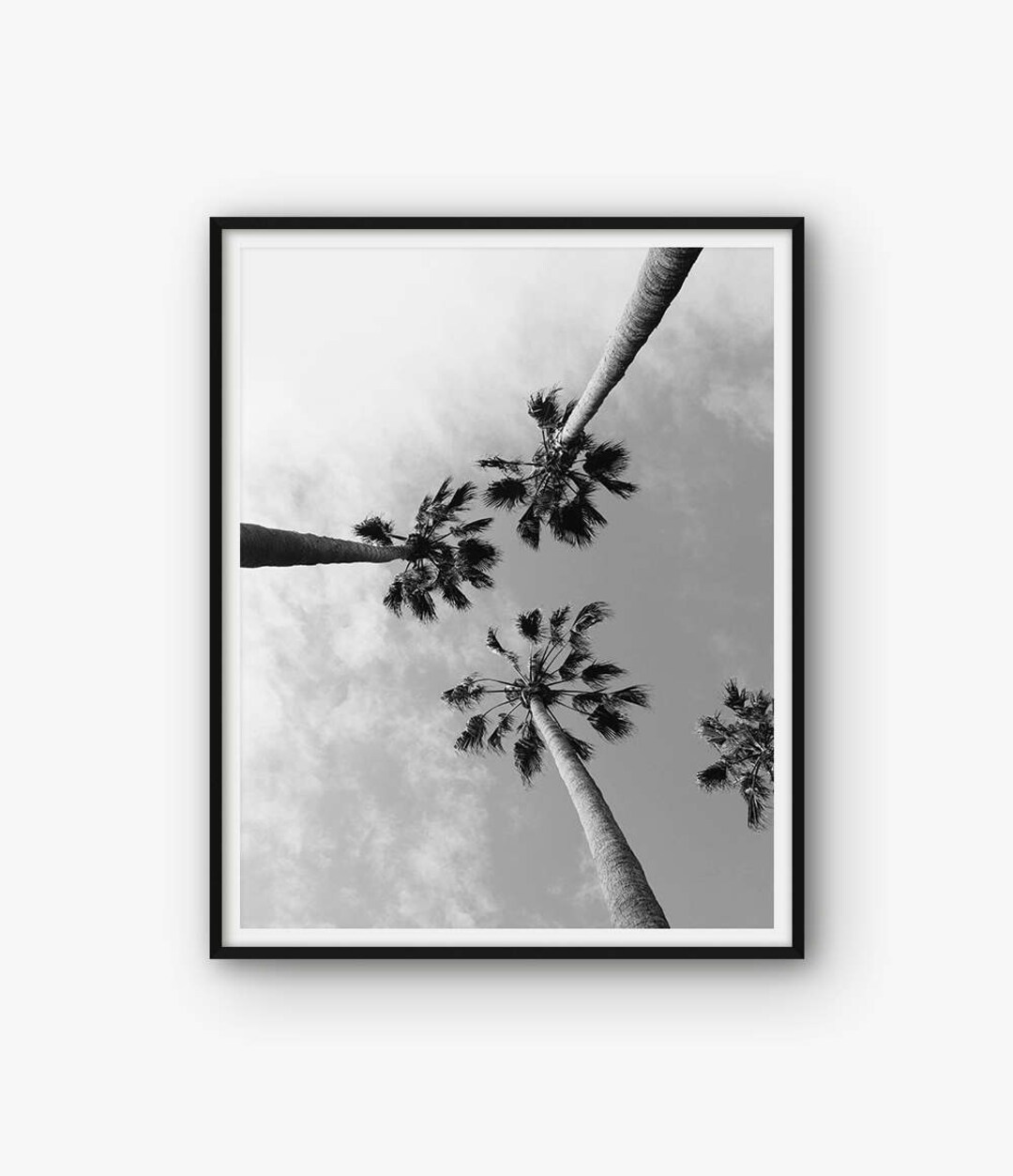 Palm Tree Photography, Palm Photography Print, Printable Palm Tree ...