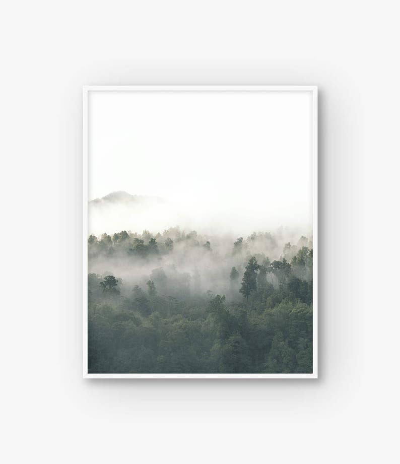 Forest Poster Forest Art Woods Photography Woods Print - Etsy