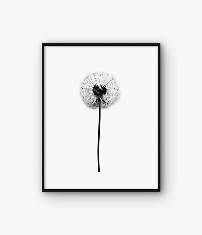 Dandelion Print, Dandelion Wall Art, Black and White Dandelion Poster ...