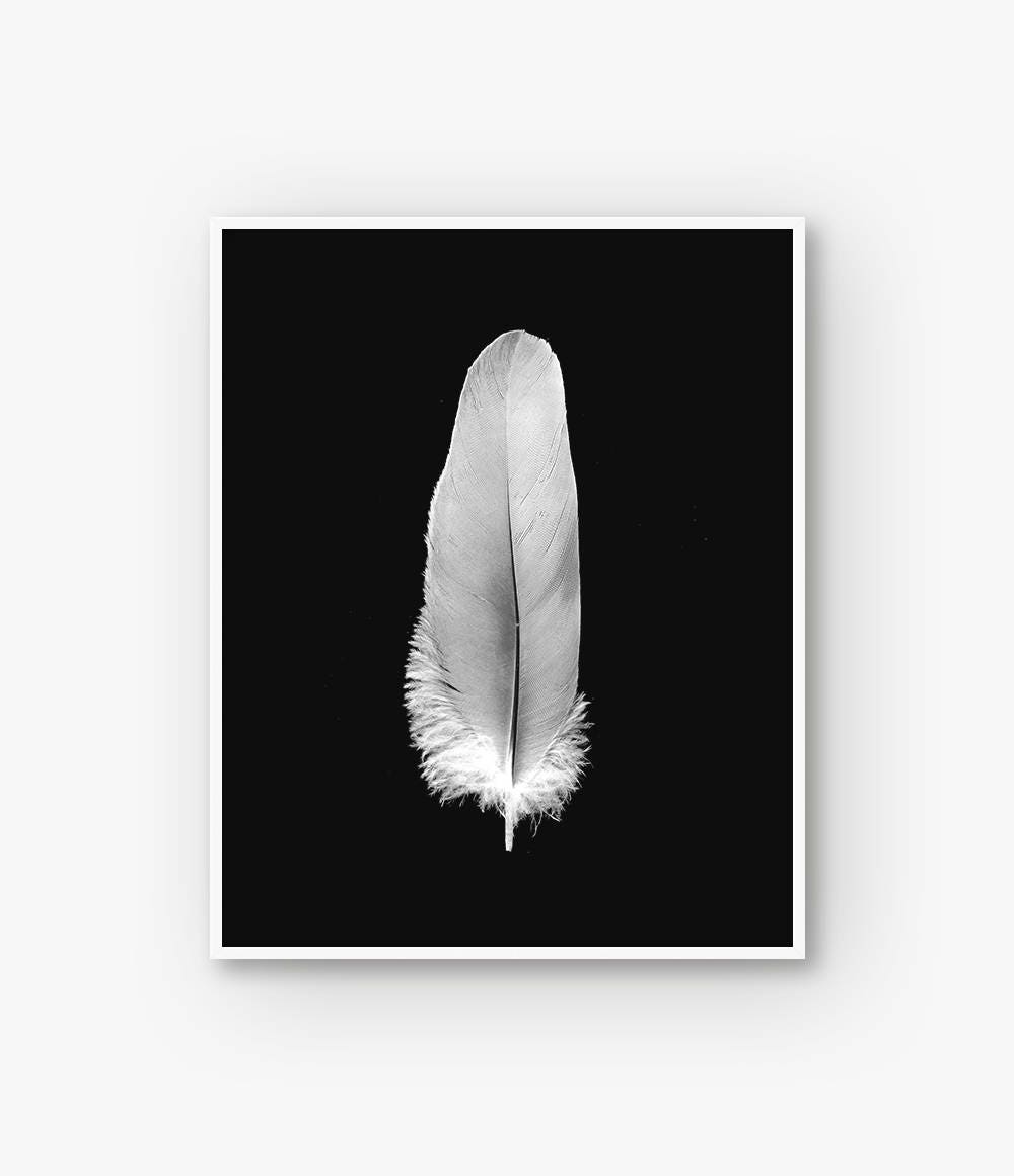Feather Print Feather Poster Feather Wall Art Feather - Etsy