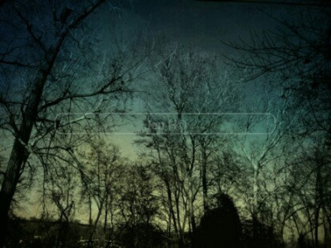 Original poem trees and sky dusk time poem and photo home | Etsy
