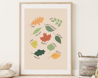 Types of Leaves Poster - Etsy