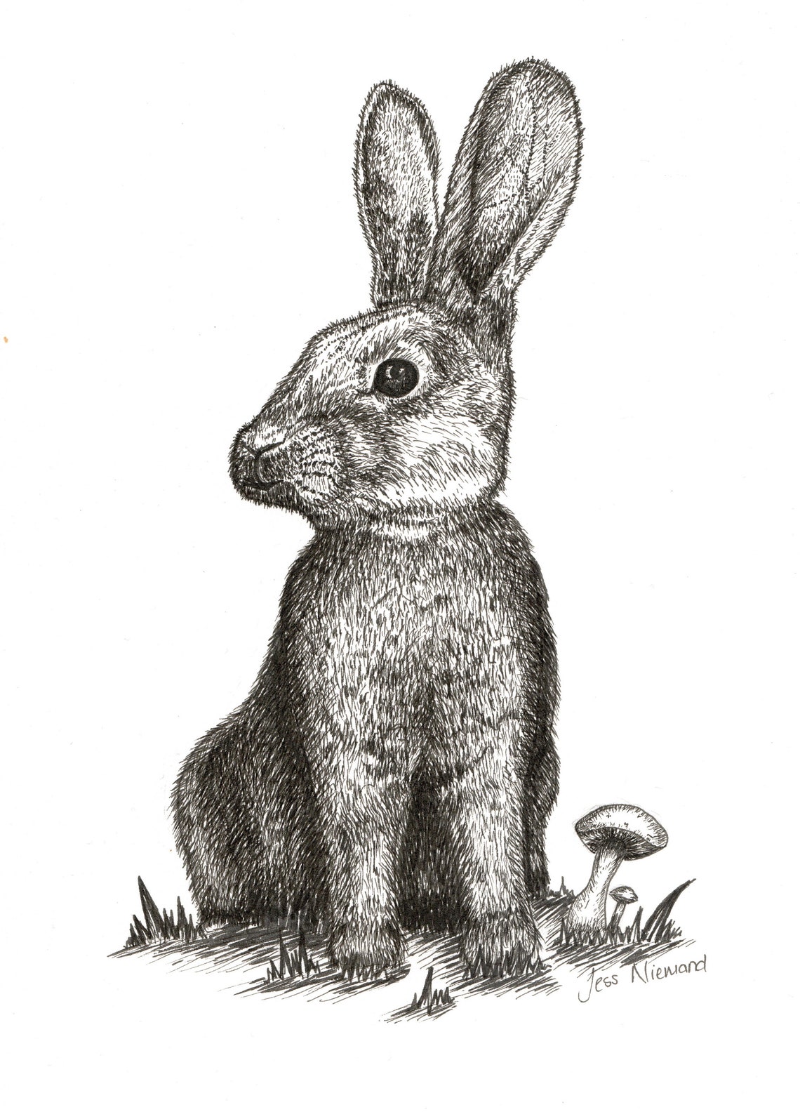 Printable Gift Tags, Instant Download, Digital Download, Pen and Ink ...