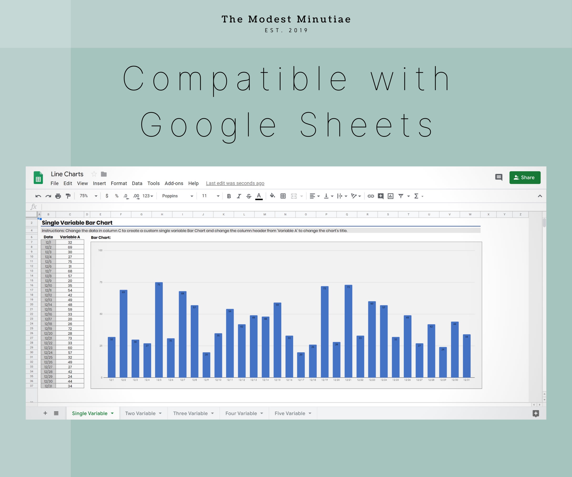 Basic Bar Chart Excel Template - Multiple Variables - Etsy