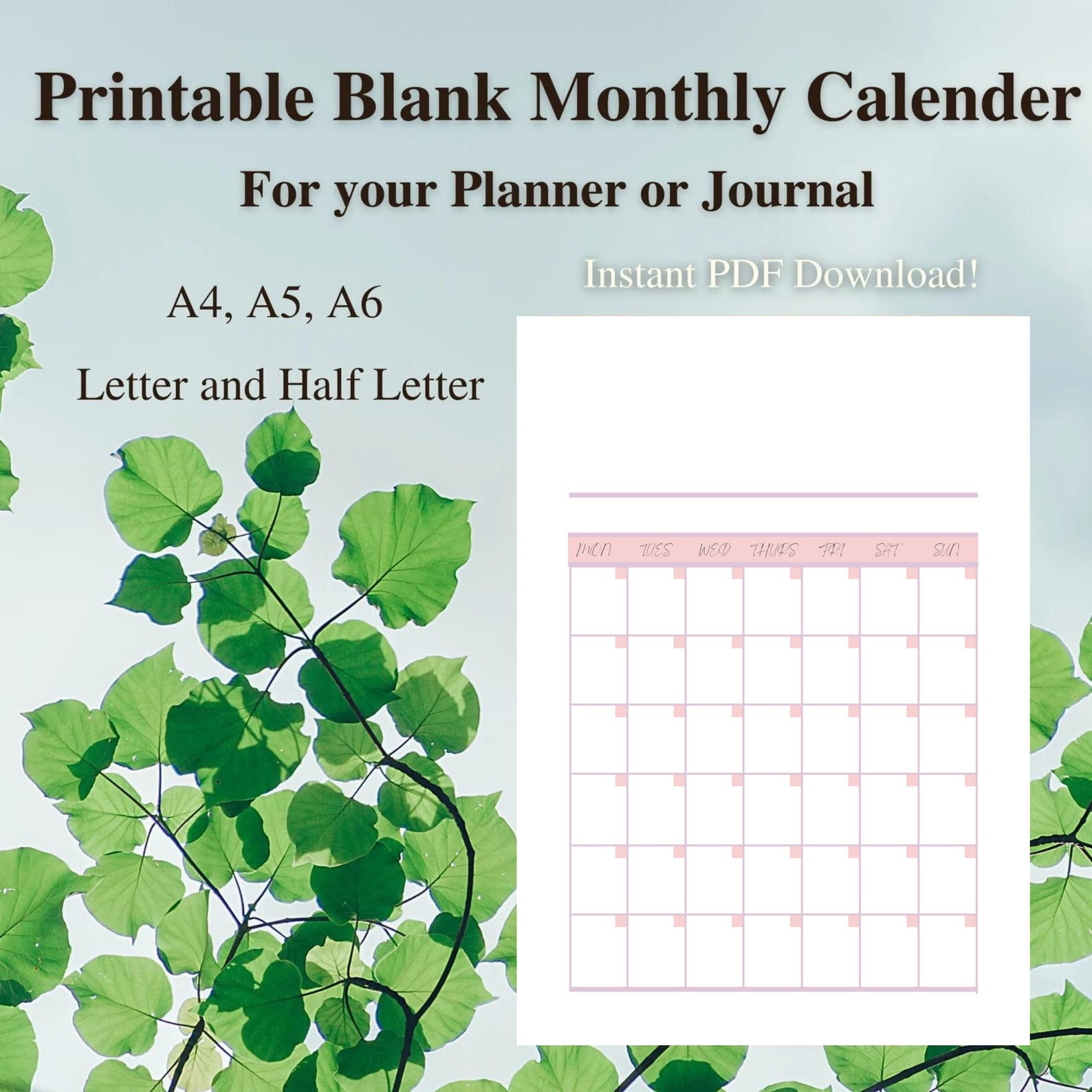Printable Monthly Calender | Blank & Can Be Used for Any Month or Year ...