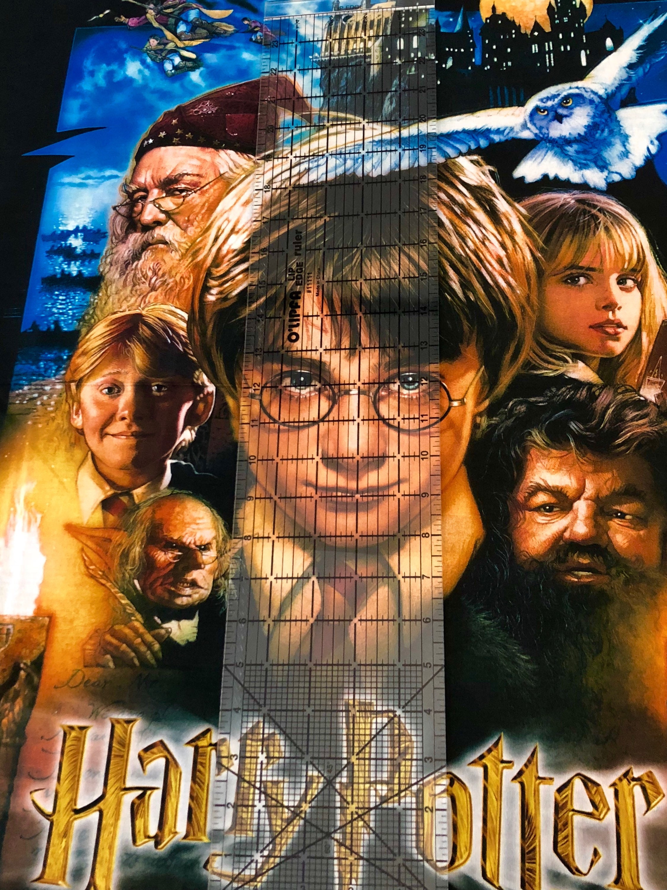 Harry Potter Fabric Panel 36 Inch Panel Teal Deathly Hollows | Etsy