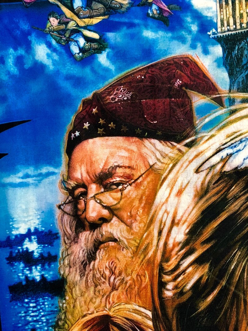 Harry Potter Fabric Panel 36 Inch Panel Teal Deathly Hollows | Etsy