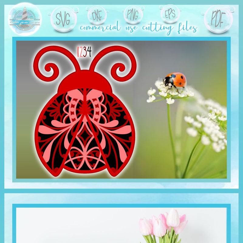 Ladybug Svg - Etsy