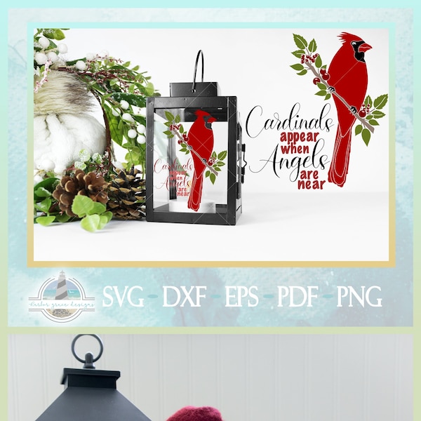 Cardinals Appear When Angels Are Near Svg - Etsy