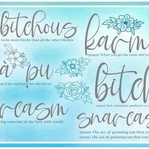 Snarky Sarcastic Words Definition Bundle SVG Files for Cricut ...