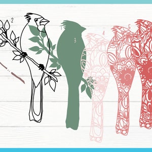 3D Layered Cardinal | Cardinal Mandala SVG File | Multi Layered Mandala ...