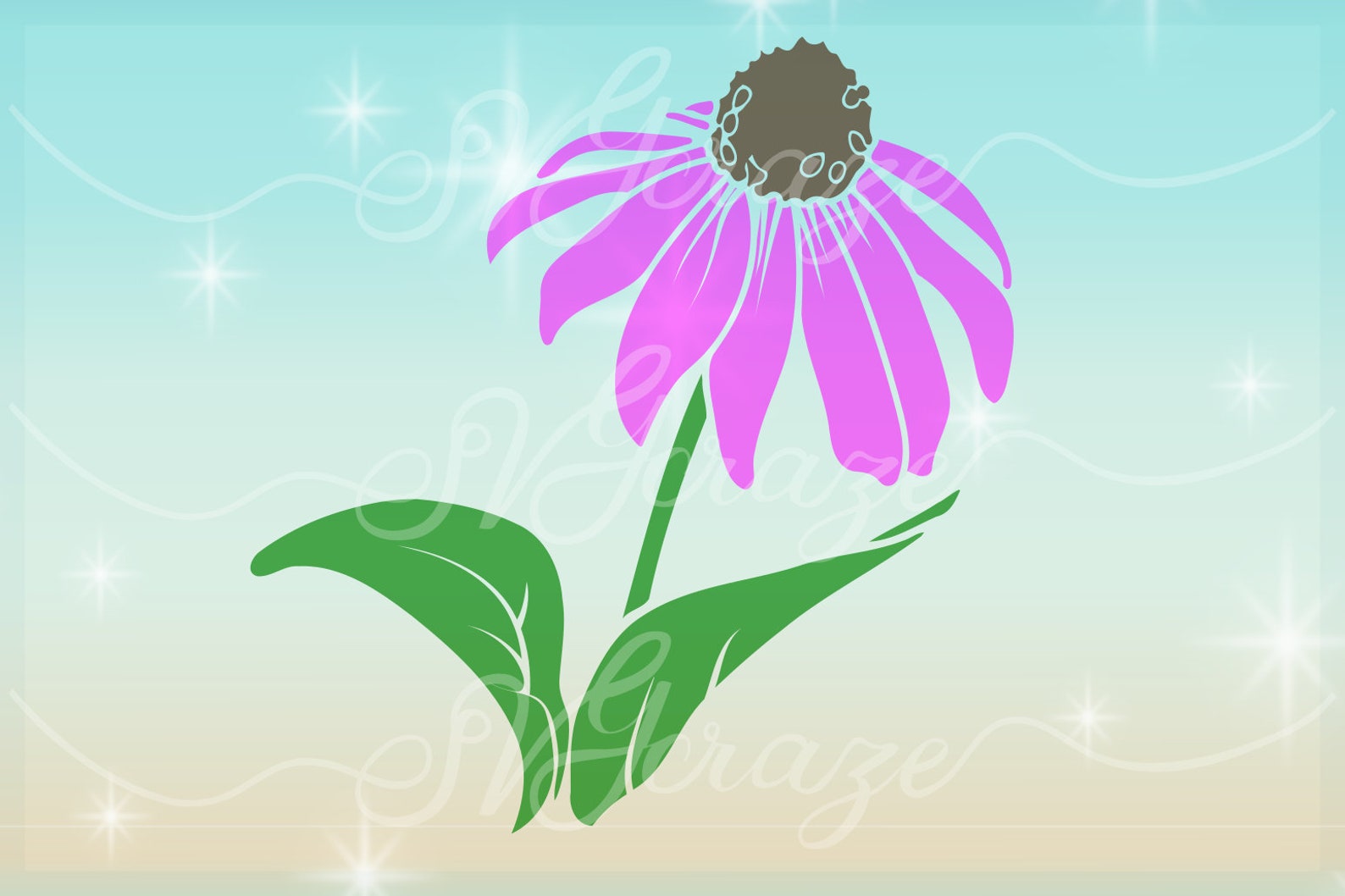 Cone Flower SVG Files for Cricut Silhouette Dxf Eps Pdf Png - Etsy