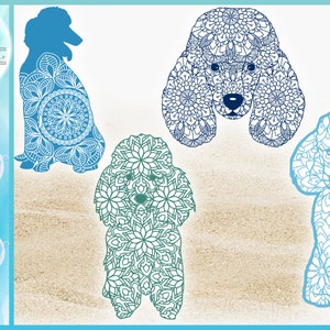 Poodle Mandala Zentangle Bundle SVG Files for Cricut Silhouette - Dxf ...