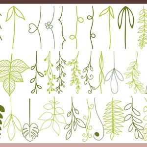 Flower Stem Art, SVG Bundle, Garden Buddies FONT INCLUDED, Flower Name ...