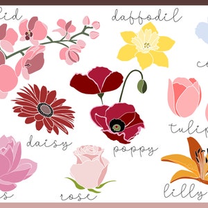 Flower Stem Art, SVG Bundle, Garden Buddies FONT INCLUDED, Flower Name ...