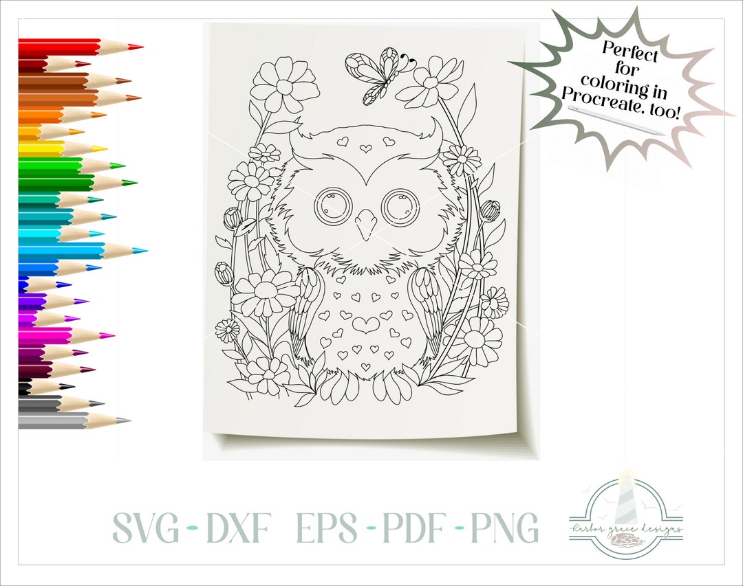 Owl and Wildflowers Printable Coloring Page, Coloring Book for Kids ...