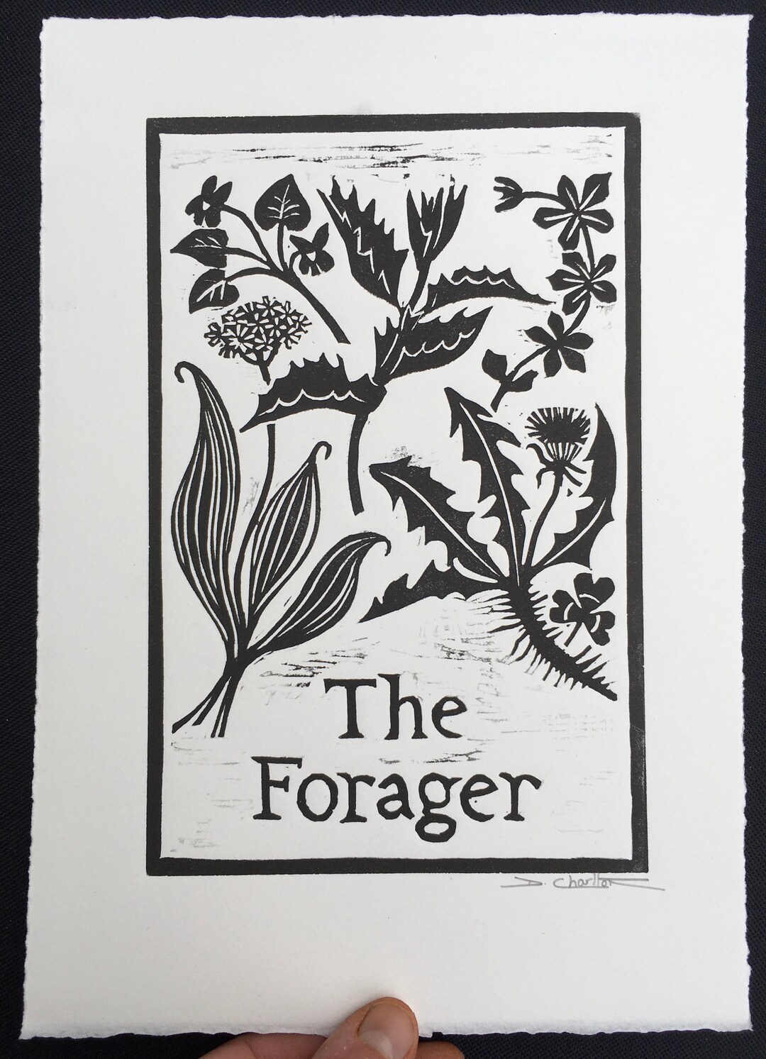The Forager, Original Limited Edition Handprinted Linocut, Edible Weeds ...