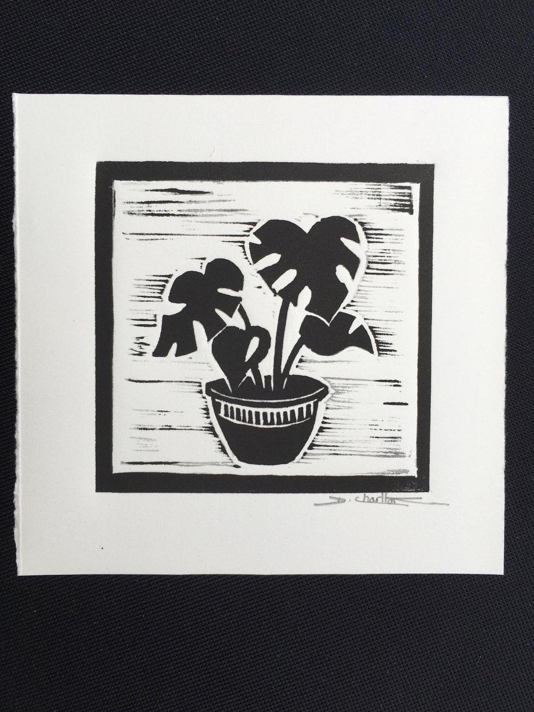 Cheese Plant, Original Handprinted Linocut, Office Plant, Foliage, Gift ...