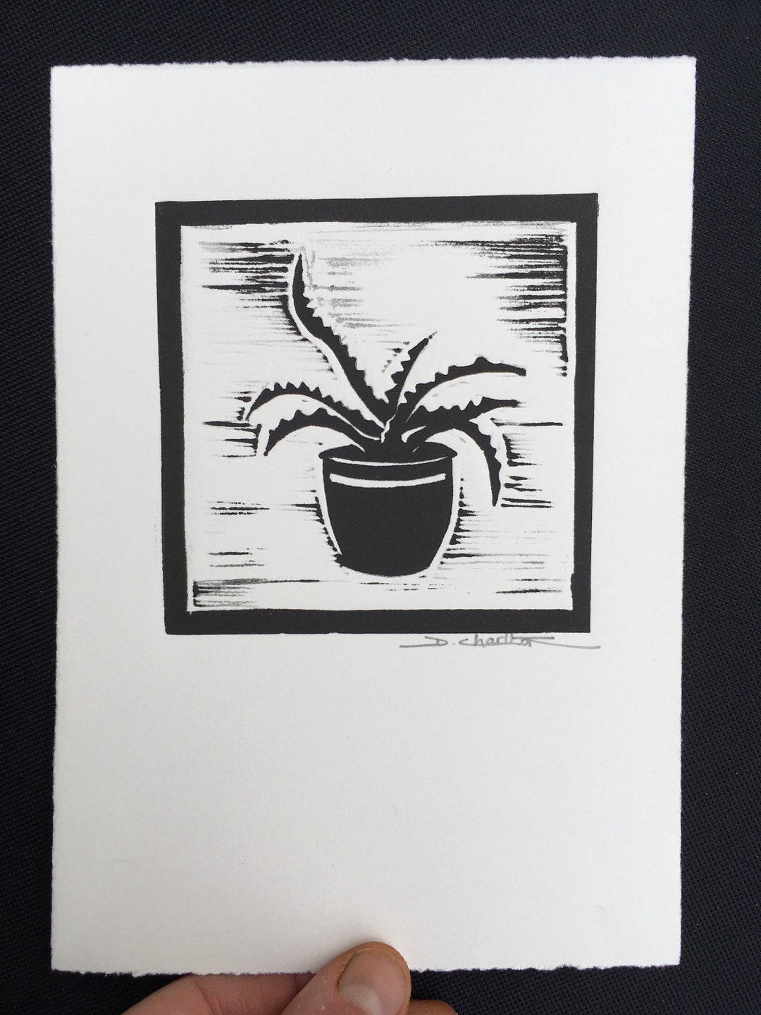 Aloe Vera House Plant, Original Linocut, Printmaking, Office Plant ...