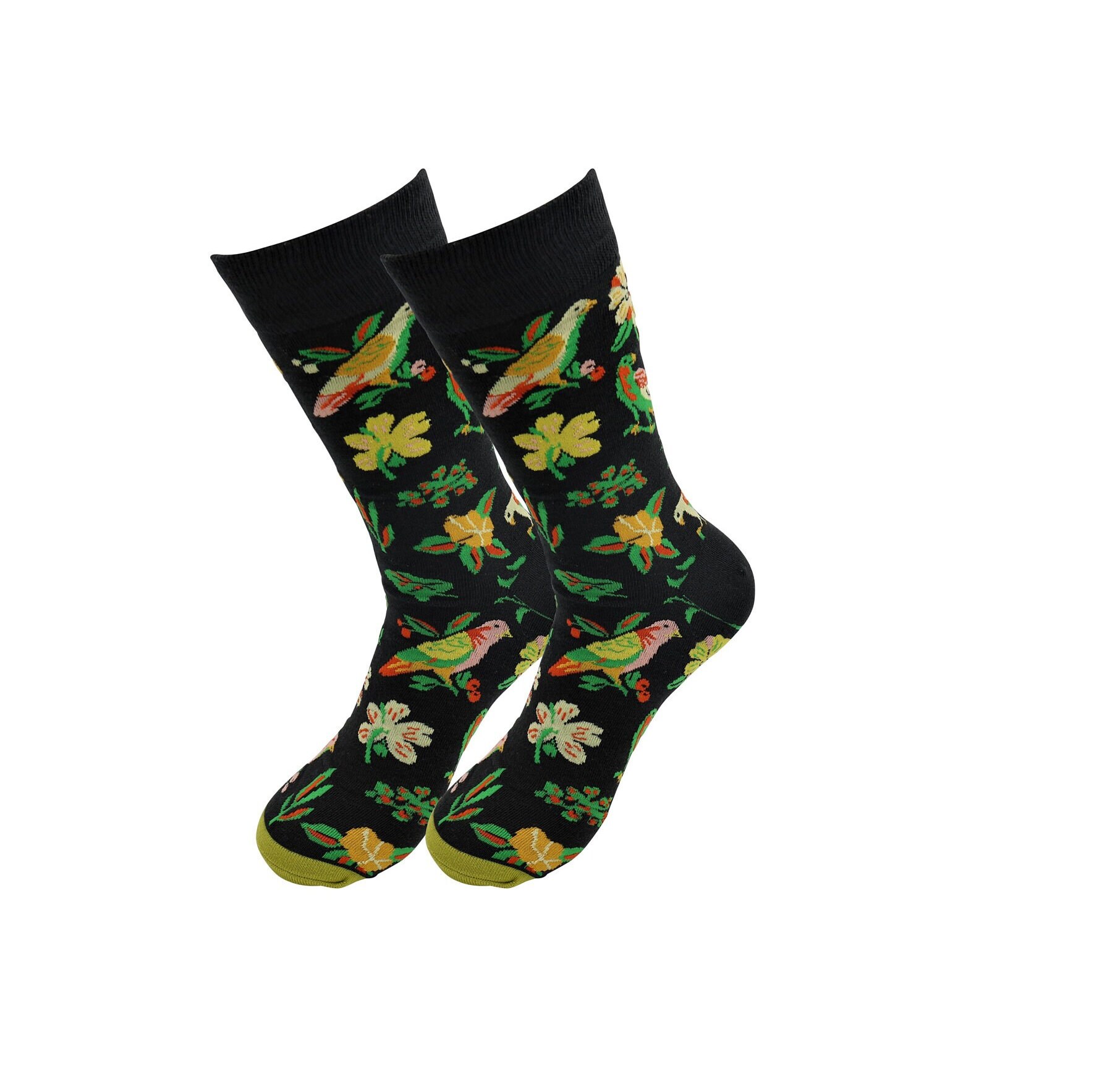 Birds Socks Cute Animal Cartoon Happy Funny Socks Birds - Etsy