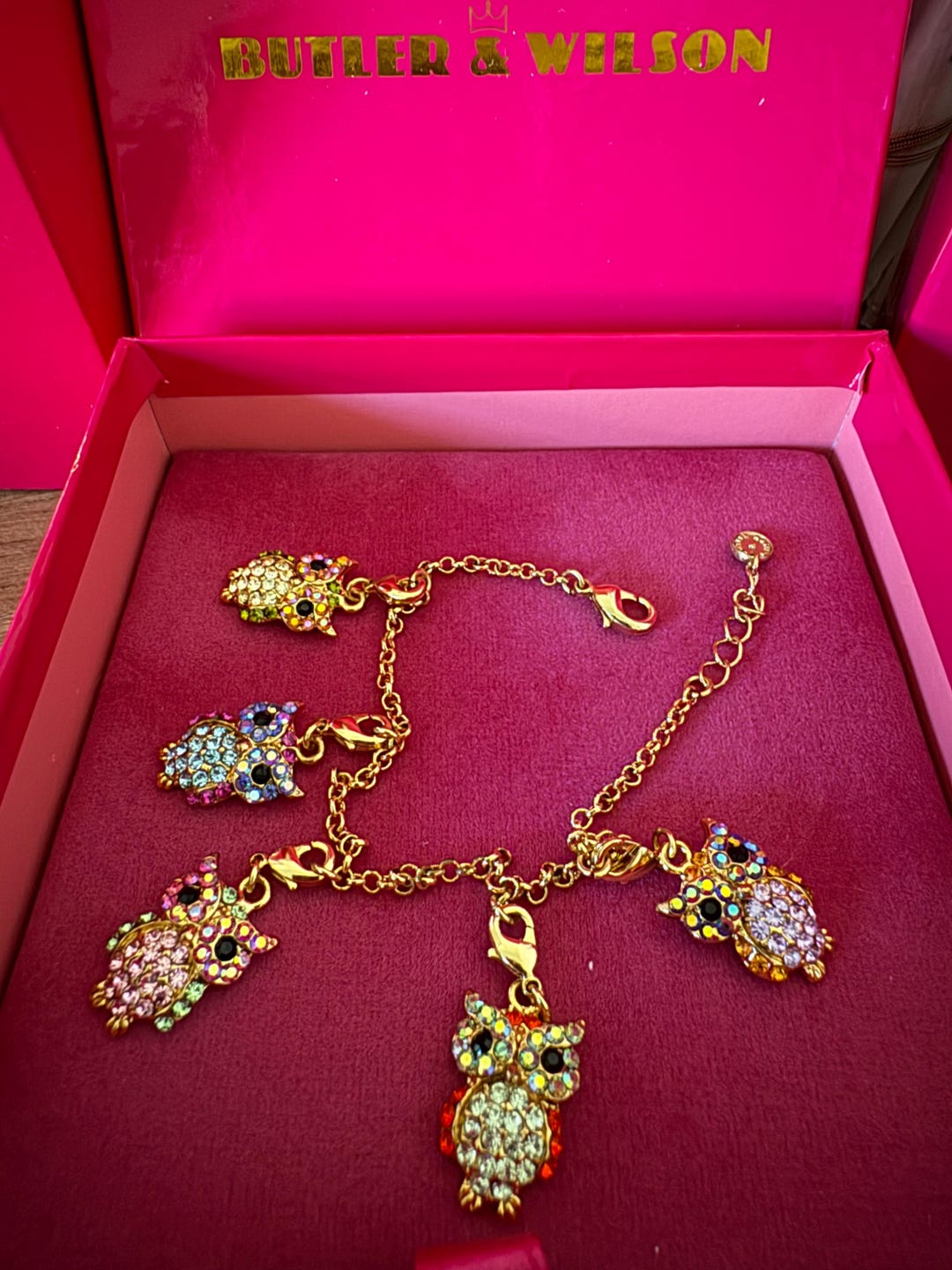 Rare Vintage Butler and Wilson Signed Removable Owl Charm Bracelet ...