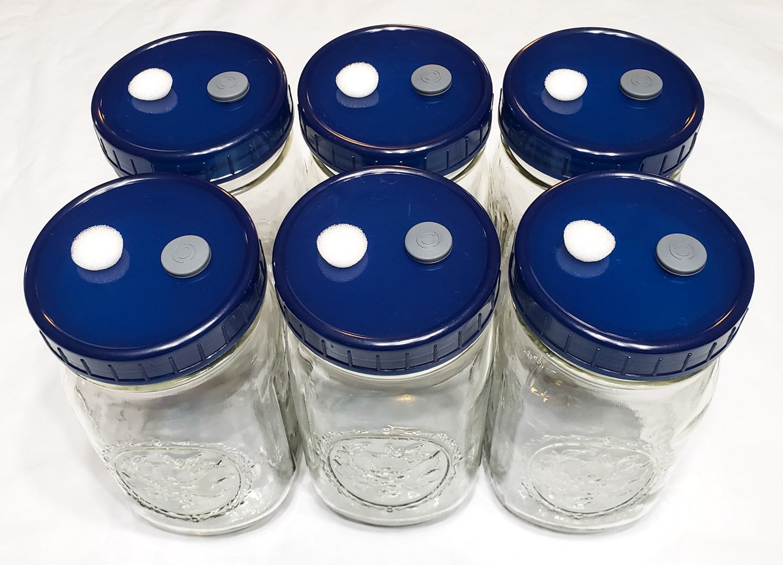 6 Grain Spawn Mason Jar Lids Wide Mouth for Mycology Value Cap | Etsy