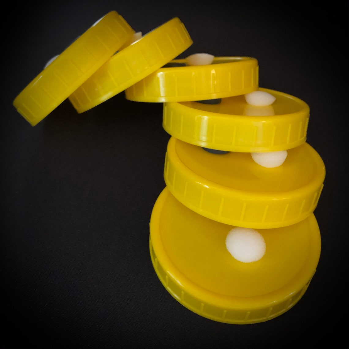 6 Grain Spawn Mason Jar Lids Wide Mouth for Mycology Value Cap | Etsy