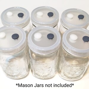 6 Grain Spawn Mason Jar Lids Wide Mouth for Mycology Value Cap | Etsy