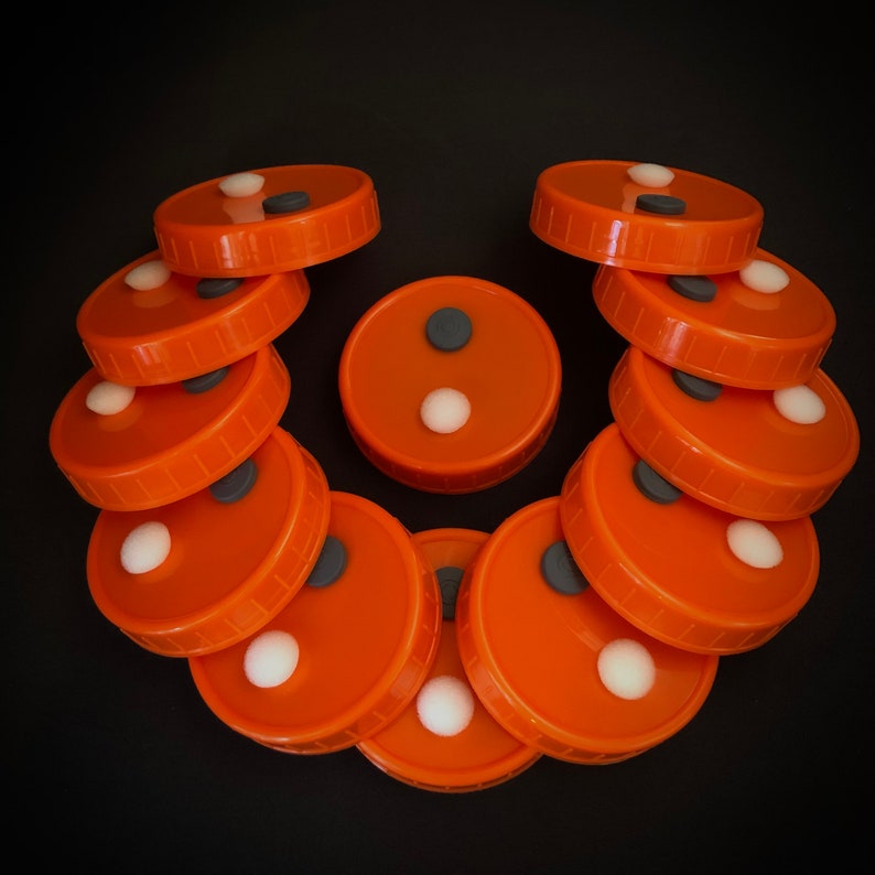 12 Grain Spawn Mason Jar Lids Wide Mouth for Mycology Value - Etsy Ireland