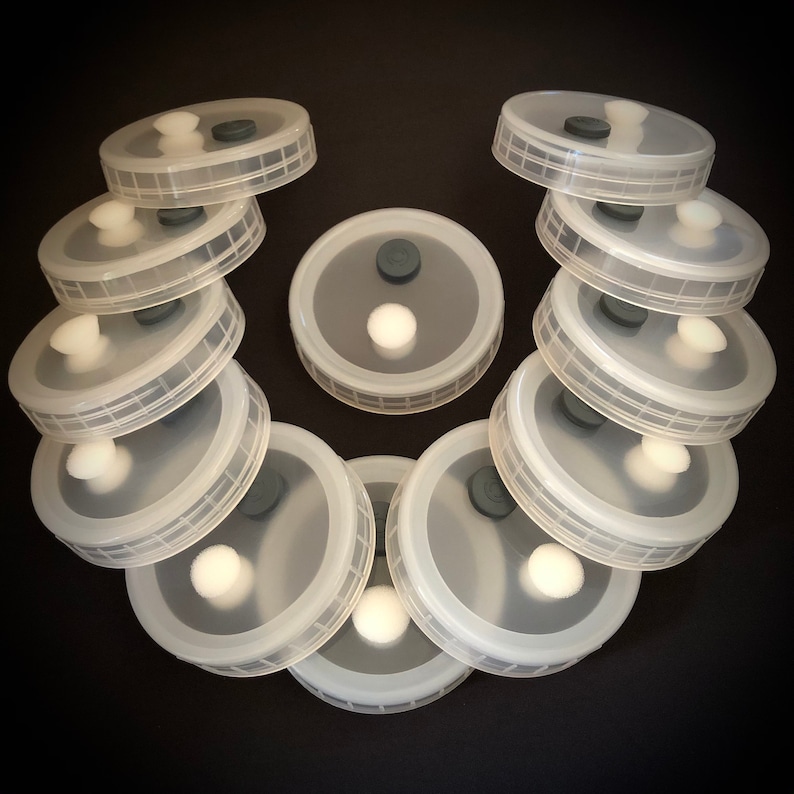 12 Grain Spawn Mason Jar Lids Wide Mouth for Mycology Value - Etsy Ireland