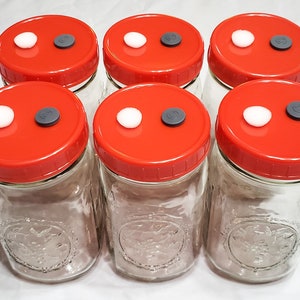 6 Grain Spawn Mason Jar Lids Wide Mouth for Mycology Value Cap | Etsy